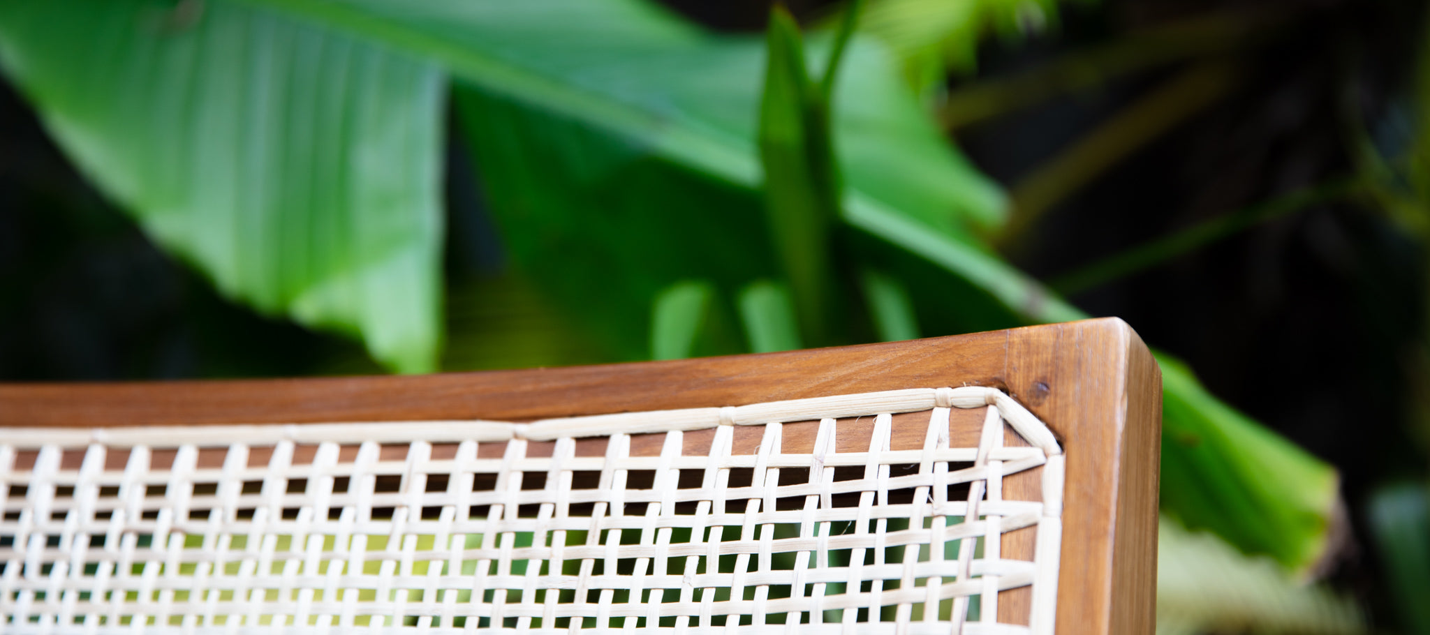 All - Studio Botanica